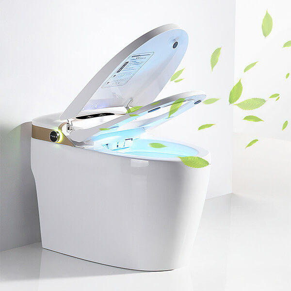 Top 5 Bồn Cầu Cho Người Già Đáng Mua Nhất Cho Gia Đình