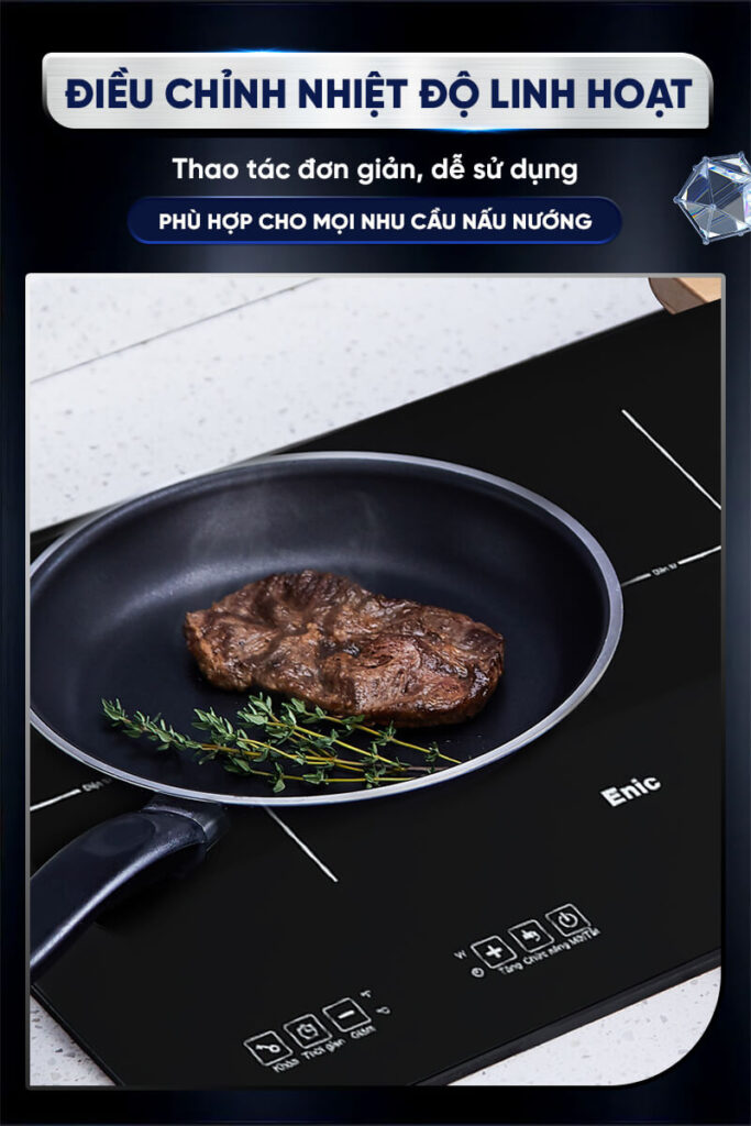 Bếp Từ Cảm Ứng Enic DS1