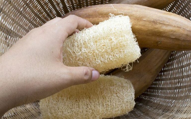 Cách Tẩy Cặn Canxi Trên Kính Nhà Tắm Nhanh Chóng, Hiệu Quả